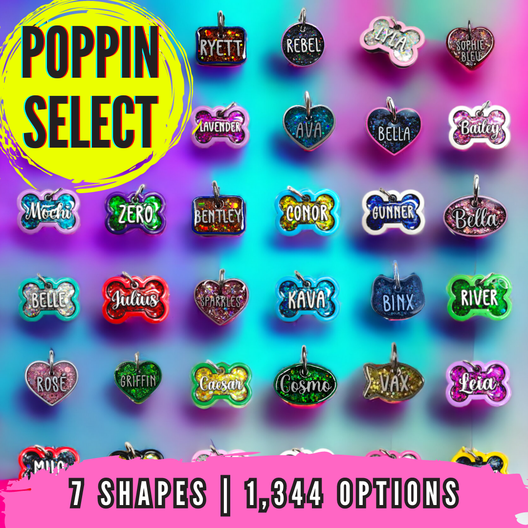 Poppin Select – Poppin Pet Tags