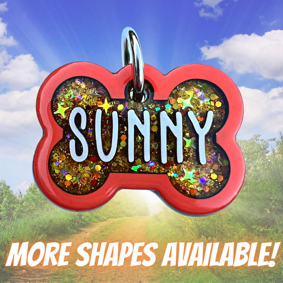 Poppin Premium - You Are My Sunshine – Poppin Pet Tags